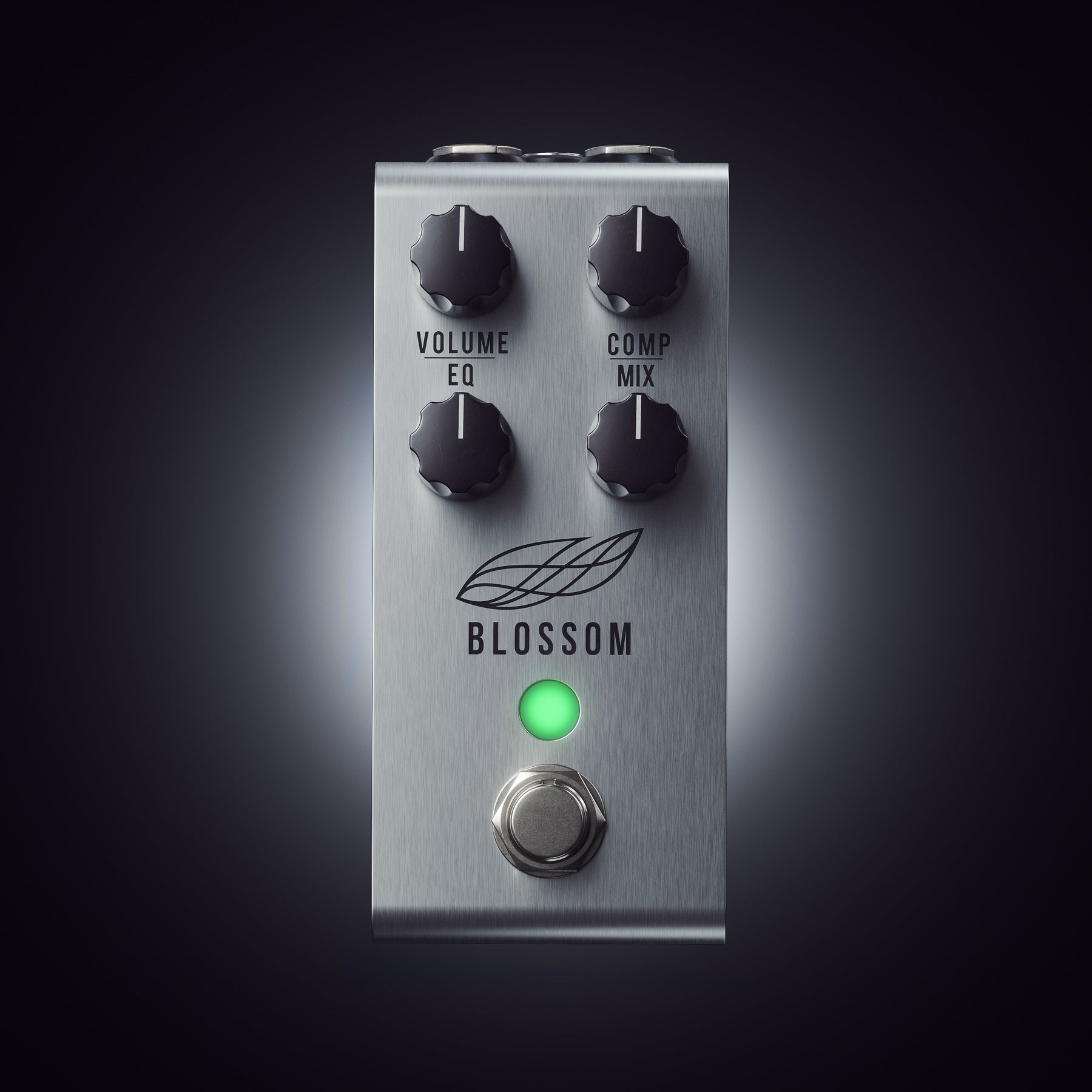 BLOSSOM – Jackson Audio